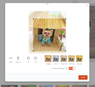 Creating and Ordering a Canvas Print