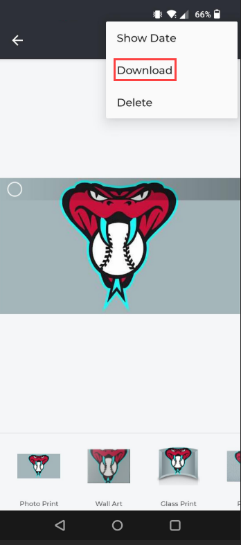 Image Download Options