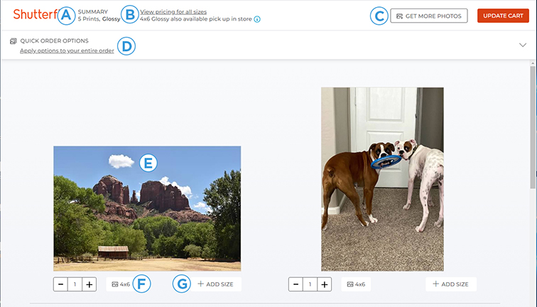 Ordering Prints Overview