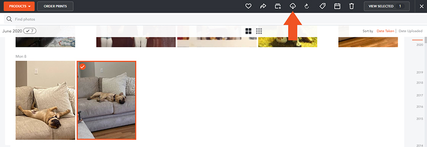 Image Download Options