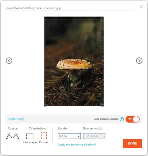 Shutterfly Help Center