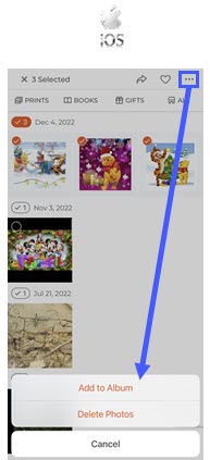 Shutterfly Experience: App