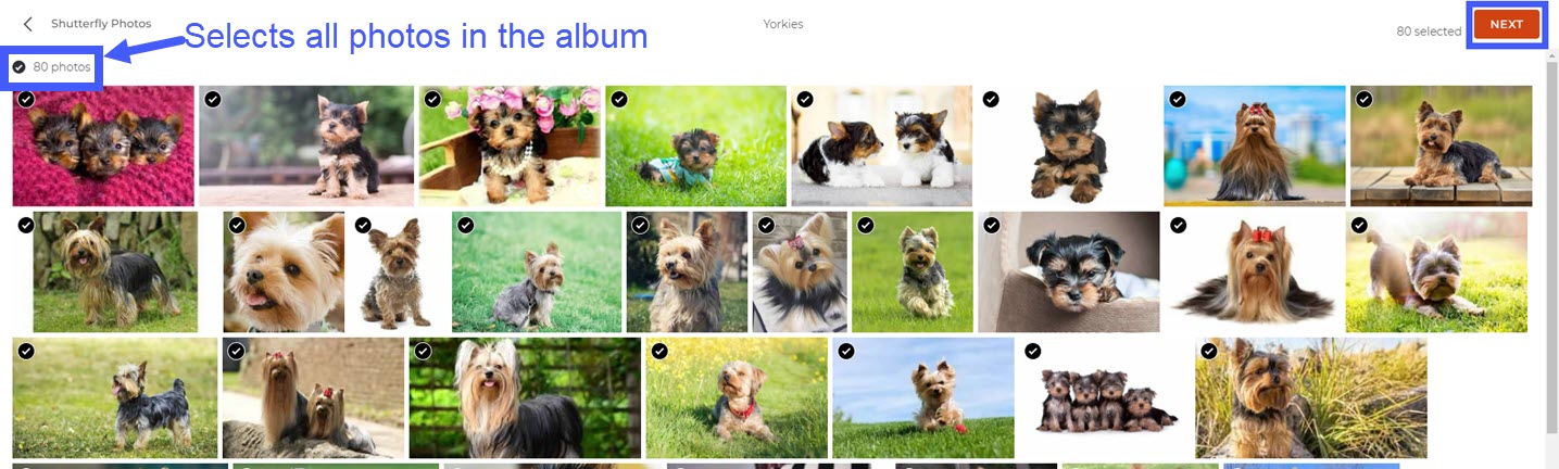 Make It Fast Photo Book Editor