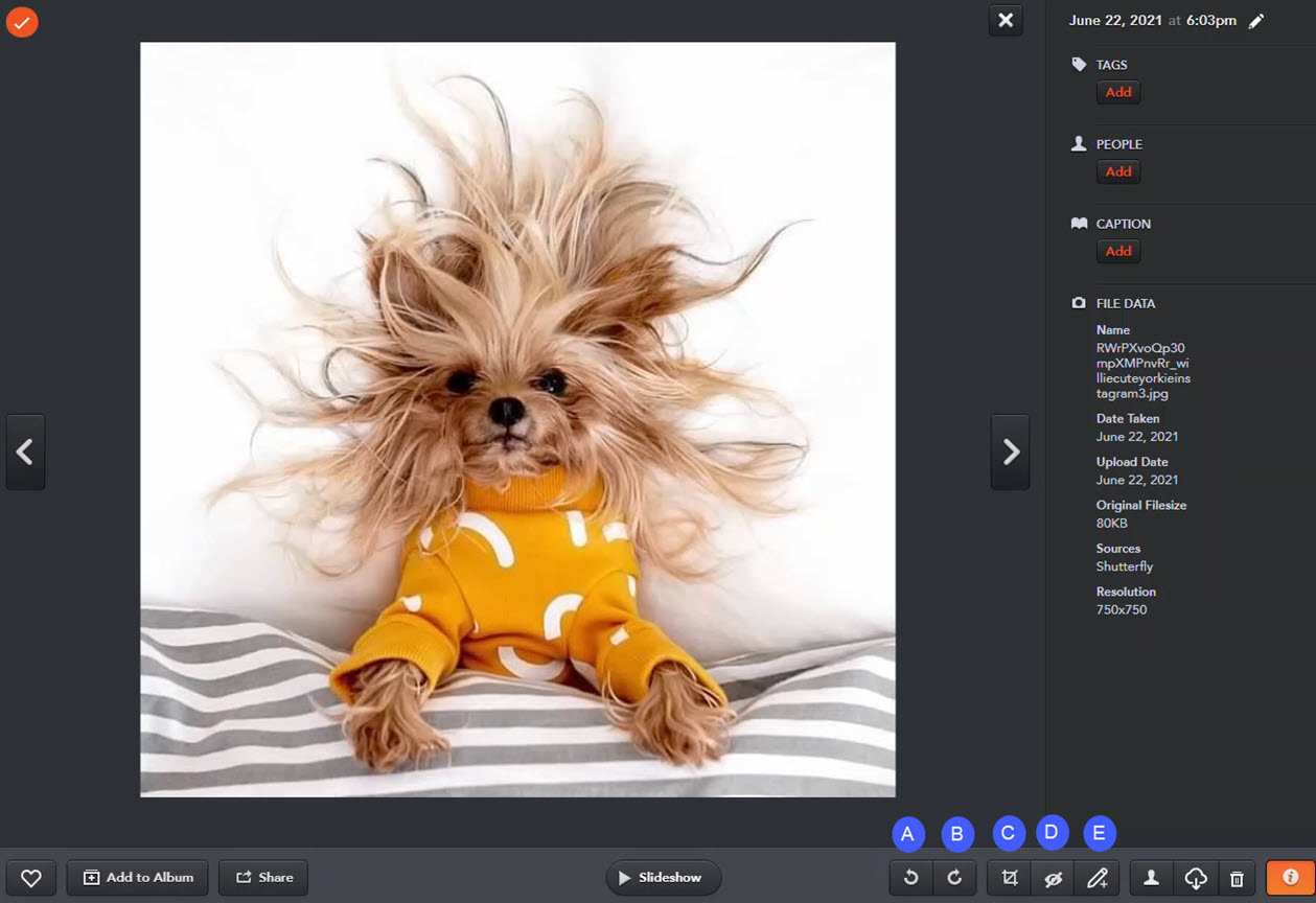 Options for Editing Photos
