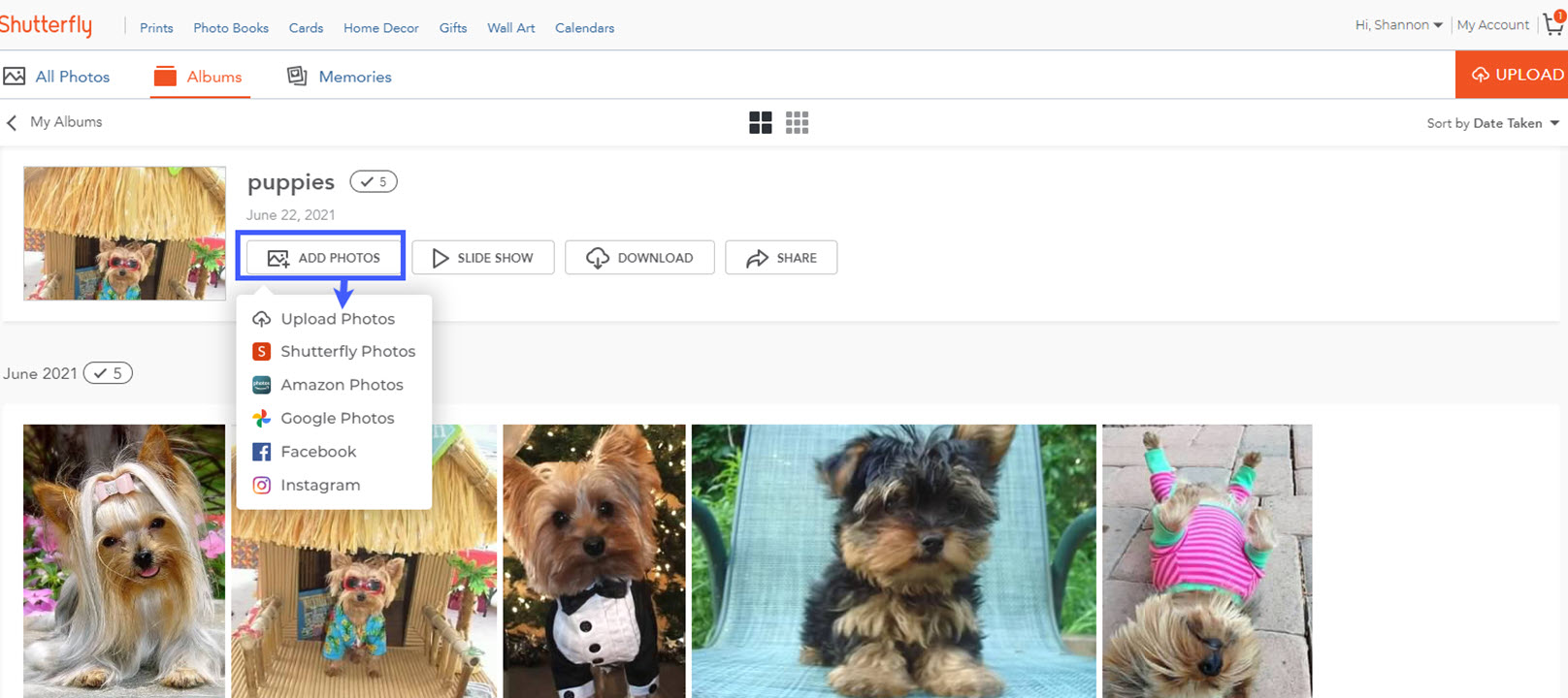 Organizing Shutterfly Photos