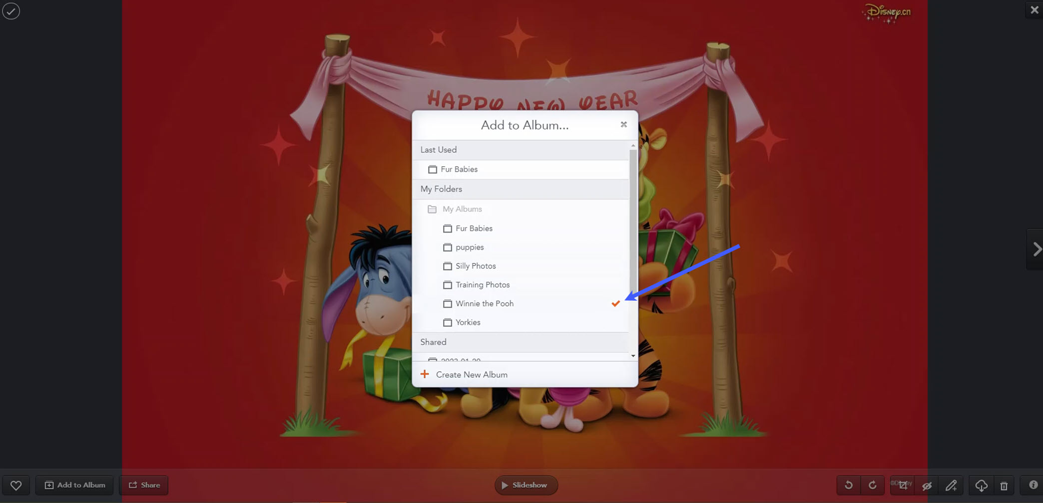 Organizing Shutterfly Photos