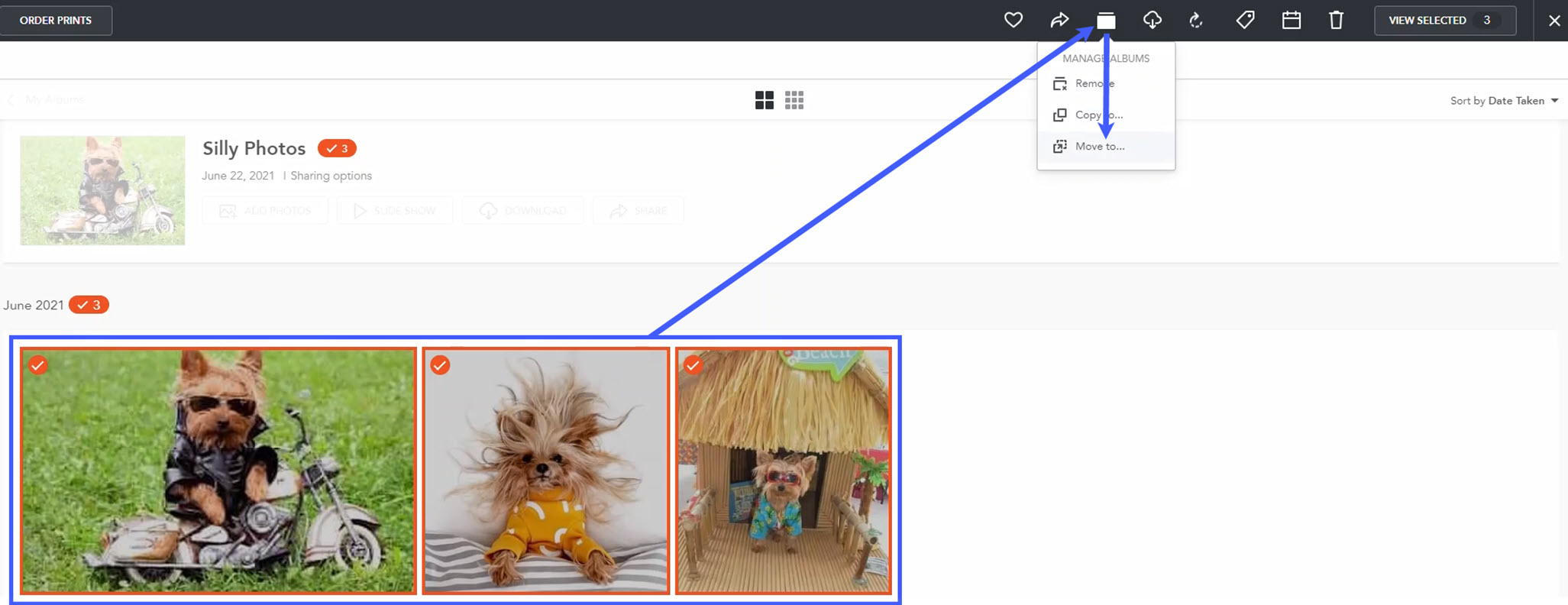 Organizing Shutterfly Photos