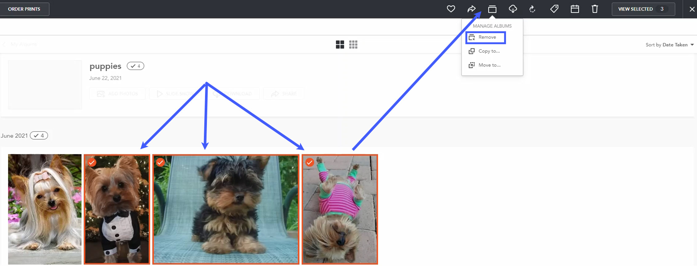 Organizing Shutterfly Photos