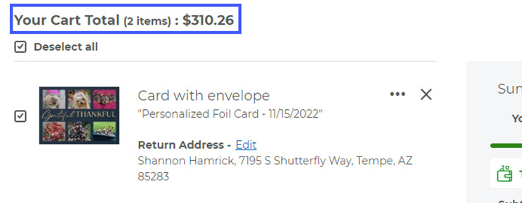 Shopping Cart & Checkout Guide
