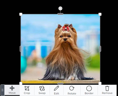 Make It Fast Photo Book Editor