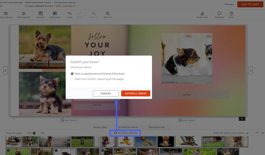 Make It Fast Photo Book Editor