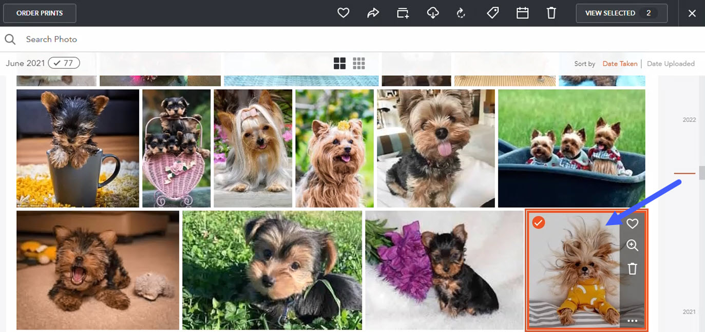 Options for Editing Photos