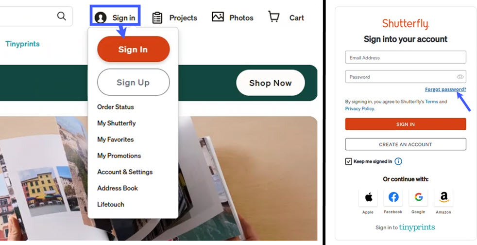 Account Access & Forgot Password Steps