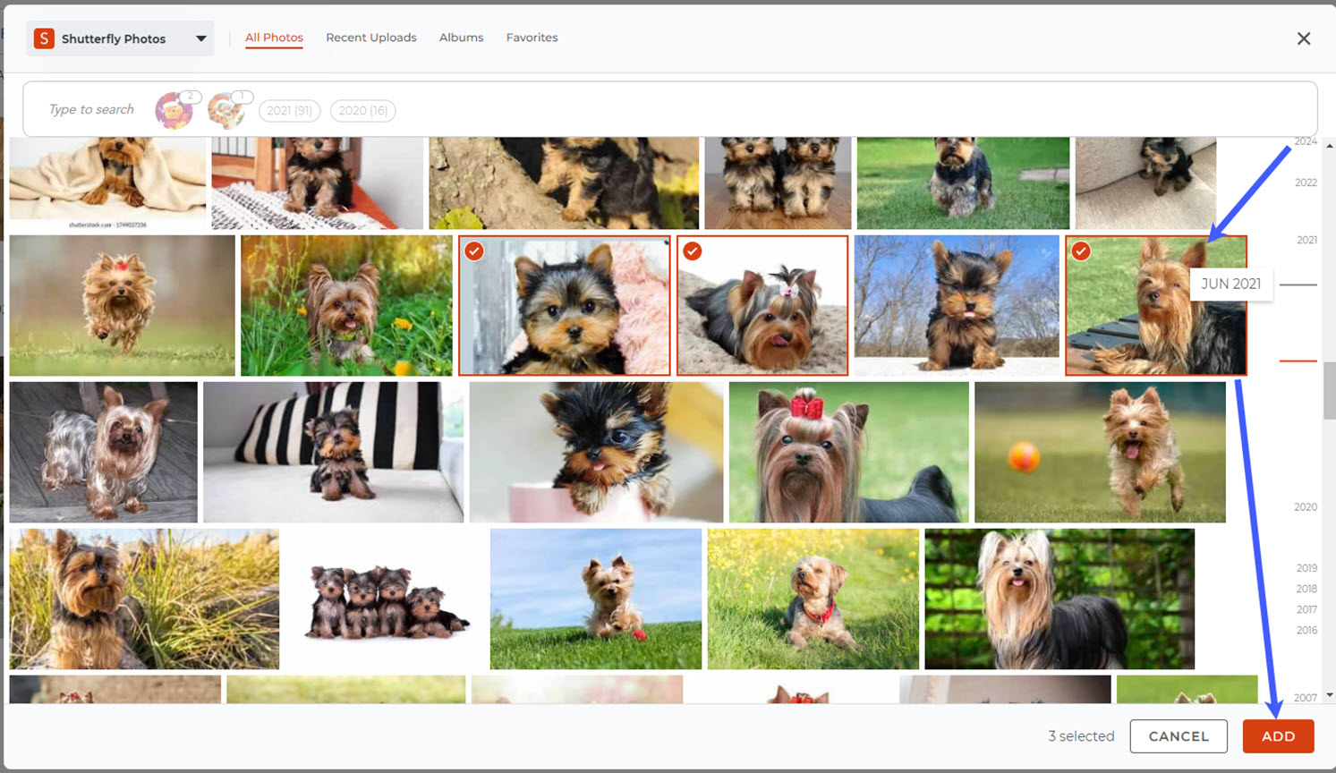 Organizing Shutterfly Photos